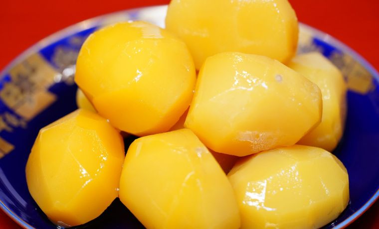 大橋株式会社 | TCD MUSEUM