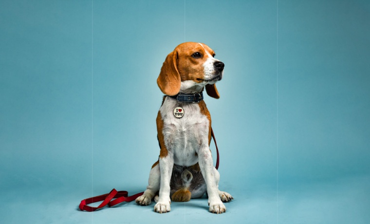 CAMERACLUB | TCD MUSEUM