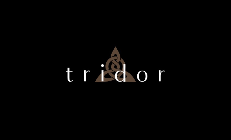 tridor | TCD MUSEUM