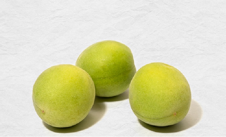 筑波の梅 | TCD MUSEUM